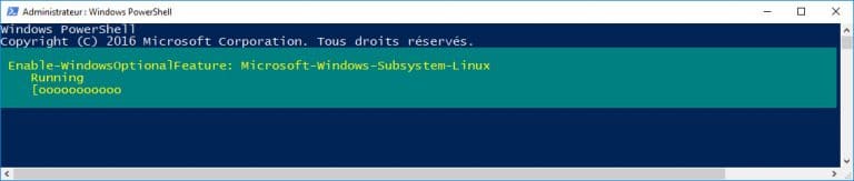 Utiliser le shell bash de Linux sous Windows 10 - Blog EugeneToons