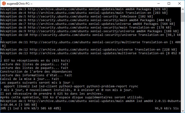 Utiliser le shell bash de Linux sous Windows 10 - Blog EugeneToons